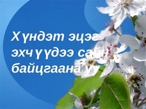 эцэг эхчүүдэд өгөх зөвлөгөө Ppt