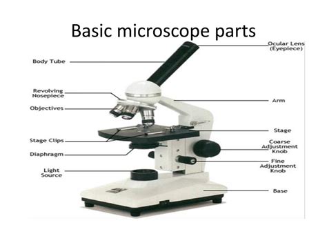 The Different Parts Of A Microscope And Their Functions At Georgia Lucas Blog