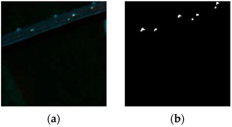 Progressive Line Processing Of Kernel Rx Anomaly Detection Algorithm