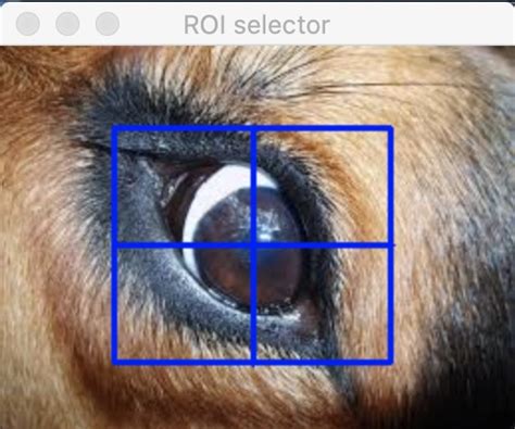 Dúvida Em Python Com Opencv Stack Overflow Em Português