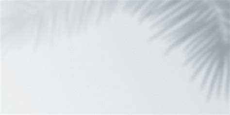 콘크리트 벽 배경에 현실적인 열대 그림자 오버레이 효과 손바닥 잎의 투명한 부드러운 빛 그림자 현대 모형 배경의 벡터 일러스트 0명에 대한 스톡 벡터 아트 및 기타 이미지