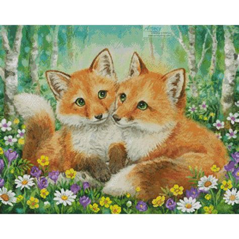 Fox Brothers Kayomi Harai