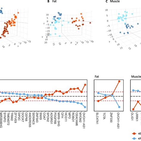 X Chromosomal And Autosomal Dna Methylation Multidimensional Scaling Download Scientific