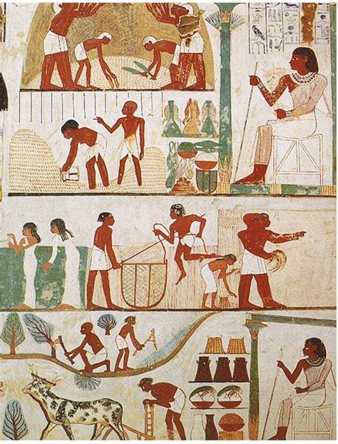 Sun Natron And Linen Secrets Of Ancient Egyptian Laundry The