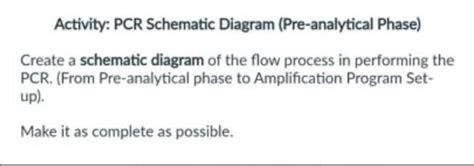 Solved Activity Pcr Schematic Diagram Pre Analytical