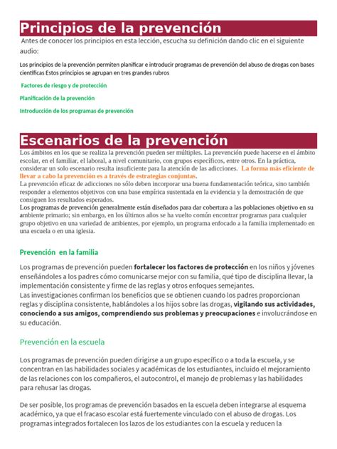 Principios De La Prevención Pdf