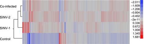 Hierarchical Clustering Of Differentially Expressed Transcripts