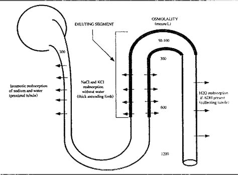 Table 1 From Diagnosis And Management Of Hyponatremia Semantic Scholar