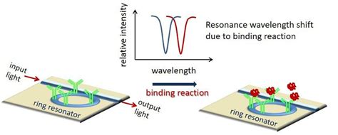 Basic Configuration Of Microring Resonator Download Scientific Diagram