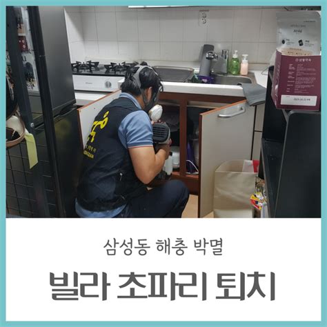 삼성동 빌라 원룸 초파리 퇴치 다녀왔어요 네이버 블로그