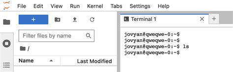 jupyterlab 컨테이너에서 terminal의 기본 shell을 bash로 설정하는 방법