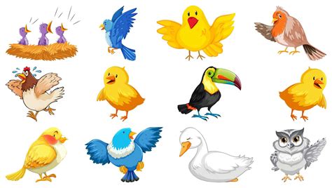 Imágenes De Aves Para Imprimir Gratis 58 Loro Para Colorear Gratis
