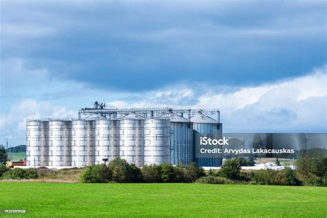 곡물 작물의 곡물 창고 대형 현대 농업 가공 공장 저장 및 가공 곡물의 큰 금속 배럴 여름 흐린 날 녹색 들판 풍경입니다 공간을 복사합니다 0명에 대한 스톡 사진 및 기타