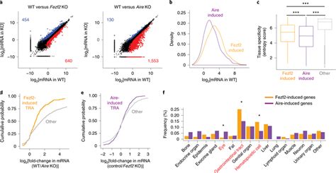 Distinct Features Of Fezf2 Induced Tra Genes Expressed By Mtecs A Download Scientific Diagram