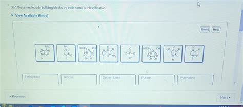 Solved Sort These Nucleotide Building Blocks By Their Name