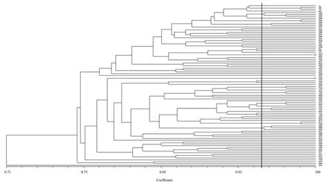 The Relationship Of Enterococcus Strains Based On The Antimicrobial Download Scientific Diagram
