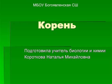 Корень Виды корней презентация онлайн