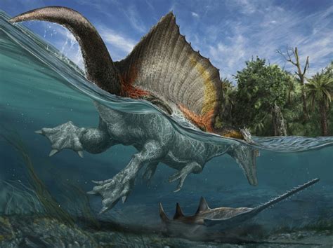 Spinosaurus The First Semi Aquatic Dinosaur Science 20