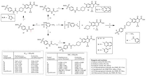 Advancements In Synthetic Strategies And Biological Effects Of Ciprofloxacin Derivatives A Review