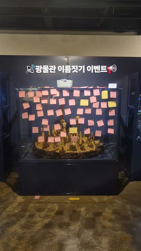 아트밸리1999 🛎아트밸리1999 해시태그 이벤트🛎 😄😄많은 참여바랍니다☺️☺️ 아트밸리1999 포천가볼만한곳 포천 포천카페 포천관광지 포천맛집 포천데이트