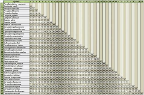 percentage of sequence identity calculated in bioedit from 518nt download scientific diagram