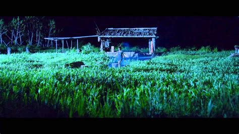 電影愛在墾丁 痞子遇到愛王老先生有塊地 預告 YouTube