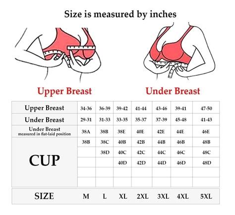 Breast Size Comparison Side By Side Breast Sizes Chart Bra Hacks