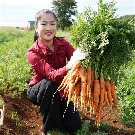 Munty Pub Muntadgin Wa