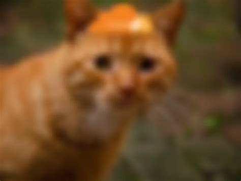 Tunnel Locally A Tool To Expose Local Servers To The Internet