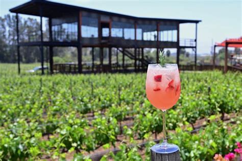 Valle De Guadalupe Wine Tours Ensenada Excursions And Tours