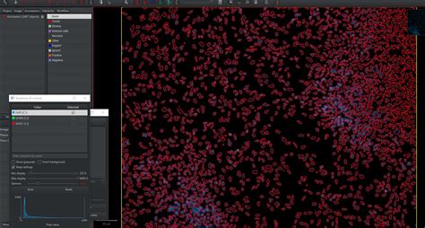 Qupath Convert Detections From Cell Positive Detection To Points Image Analysis Imagesc Forum