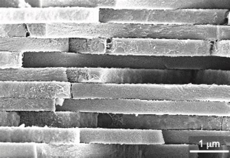 Esa Microscopic View Of Natural Nacre