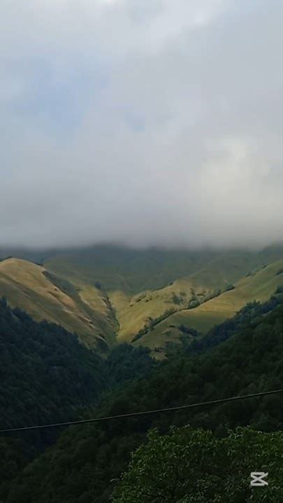 მზის ამოსვლა ნისლიან მთაზე☀️☁️ გუდამაყარი მთა ნისლი საქართველო 🇬🇪 Youtube