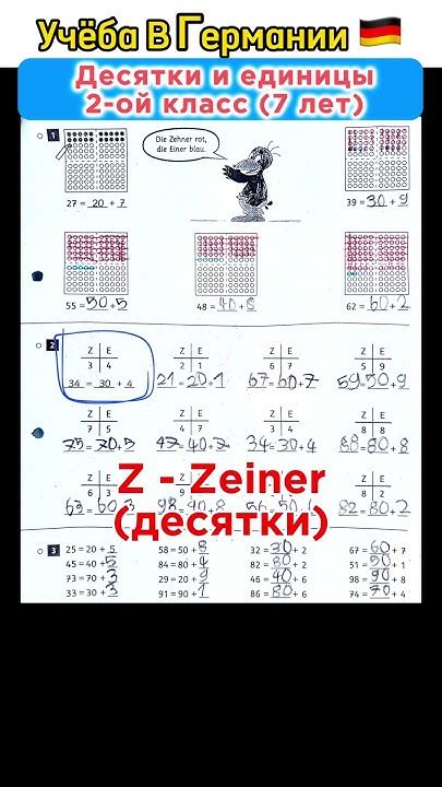 Учёба В Германии🇩🇪 Закрашиваем десятки и единицы 2 класс германия