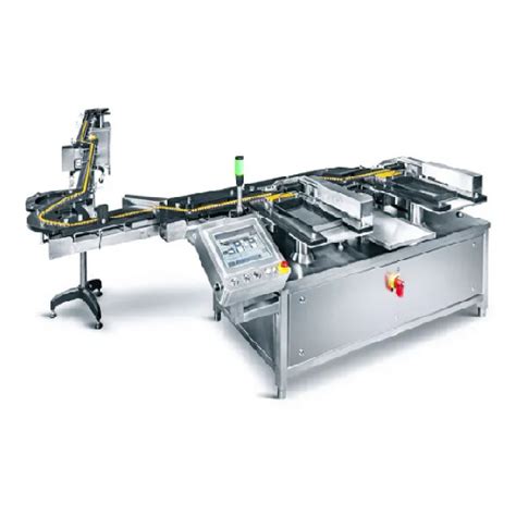 Vial Tray Loader For Pharmaceutical Processing Vial Tray Loader For Pharmaceutical Processing