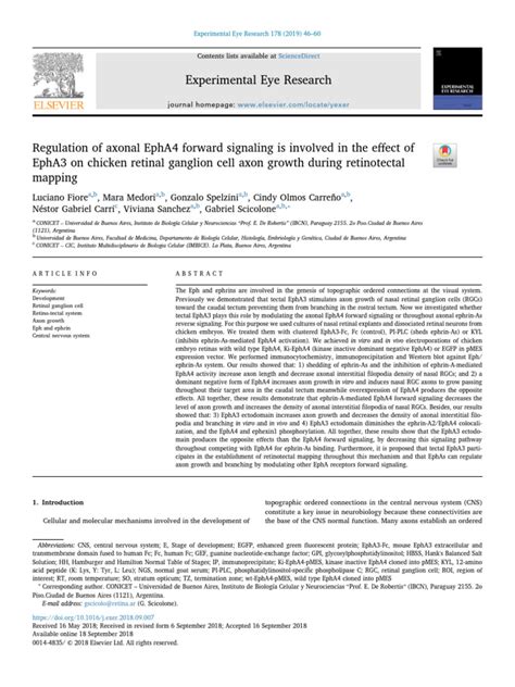 Regulation Of Axonal Epha4 Forward Signaling Is Involved In The Effect Of Epha3 On Chicken