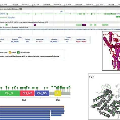 Identification Of Clinically Relevant Mutations In Clinvar Cosmic And Download Scientific