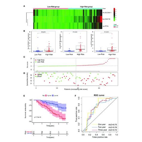 Validation Of The Immune Related Lncrna Signature In An Independent Download Scientific