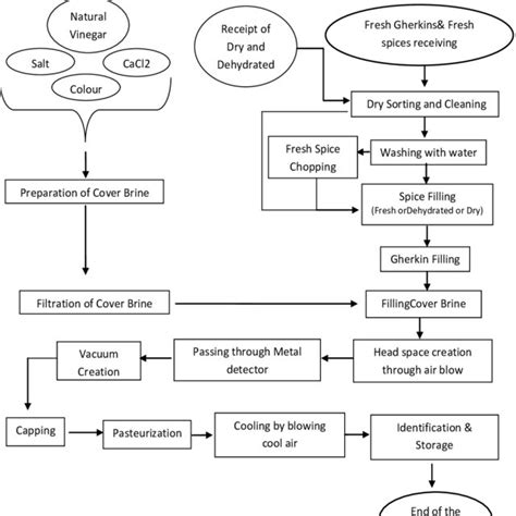 Process Flow For Developing The Products Download Scientific Diagram