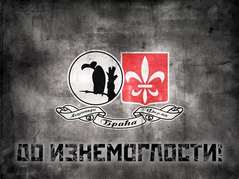 Fk Vojvodina ФК Војводина Док су њихови саиграчи играли пријатељску утакмицу против ФК Бачка