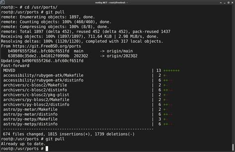 Обновление портов Freebsd 14 Notbynet