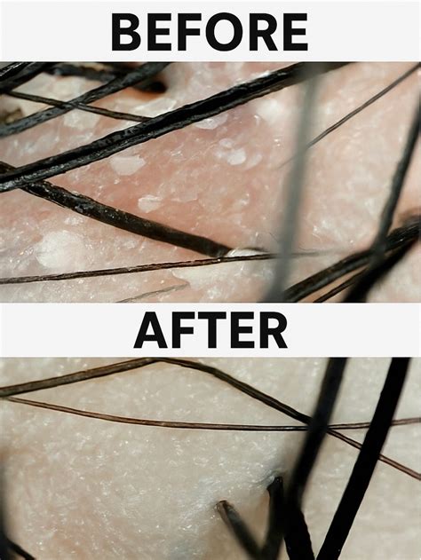 Dapper Hub Barbershop Auckland