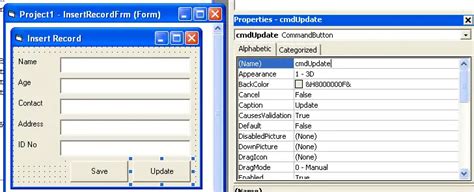 updating a record in ms access using visual basic