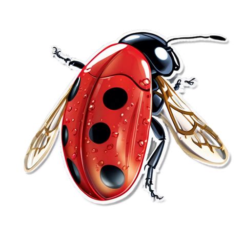 Download Ladybug Wings Open Png Opg
