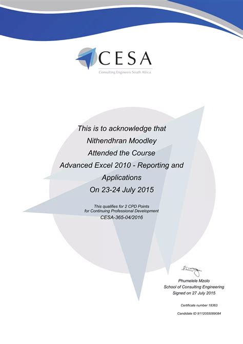 advanced excel reporting and applications pdf professional school