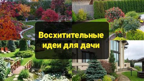 Восхитительные идеи для дачи🤩 дача дачаидеи дачасвоимируками идеидлядачи сад