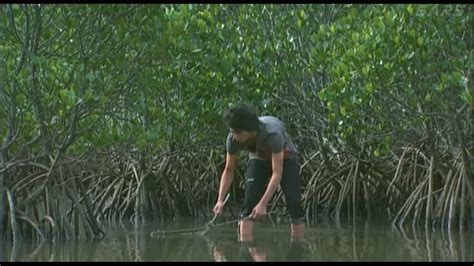 Cypsis Blog Hana Yori Dango