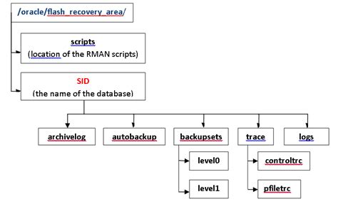 Step By Step Deploy Rman Backup Strategy For Oracle Database 11g