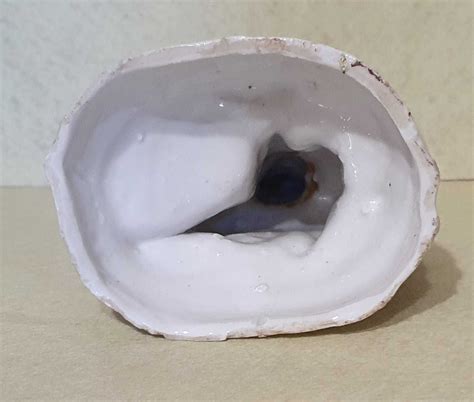 Статуэтка Девочка с собакой 400 грн Предмети мистецтва Харків на Olx