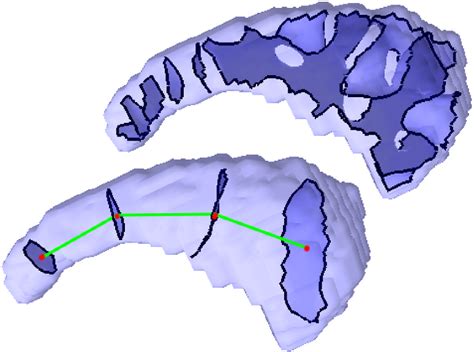 figure 29 from laplace beltrami eigenvalues and topological features of